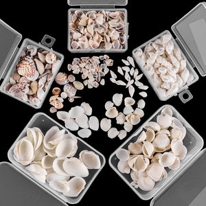 Wholesale Natural Seashell Small Conch Conch Beads