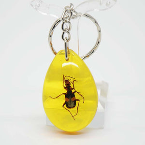Wholesale Insects Amber Specimens Resin Keychains